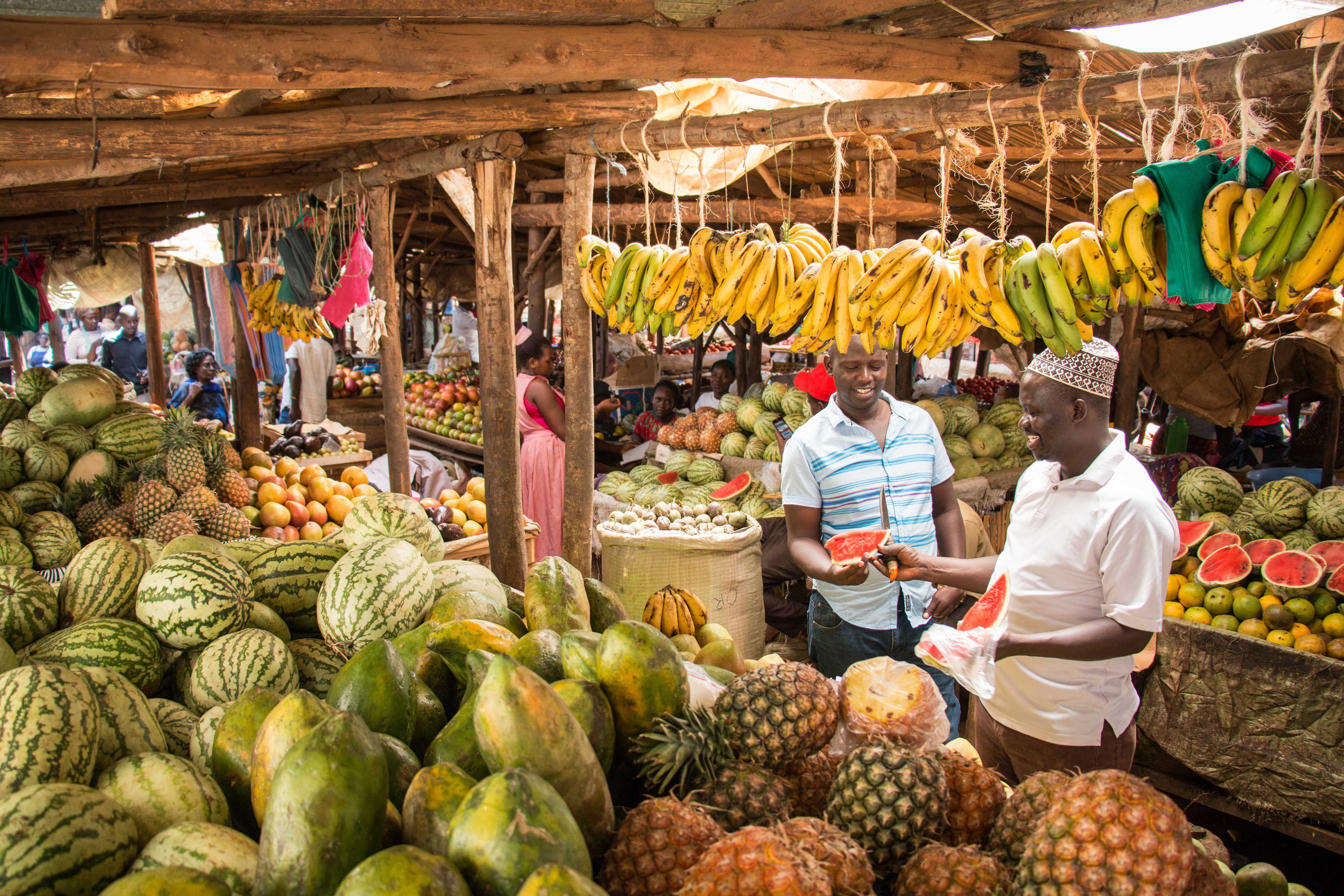 Data on East Africa's SME Traders and Farmers - Sauti Trade Insights